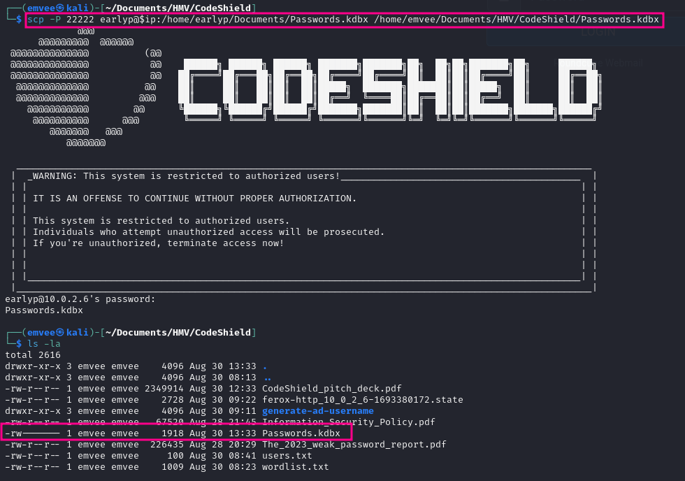 Write-up CodeShield on HackMyVM | eMVee